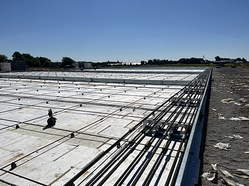 MK5 Structural Foundations - MK5 Structural Foundations